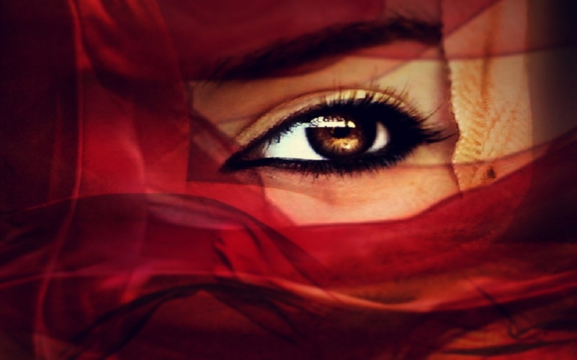 Women Eye HD Wallpaper