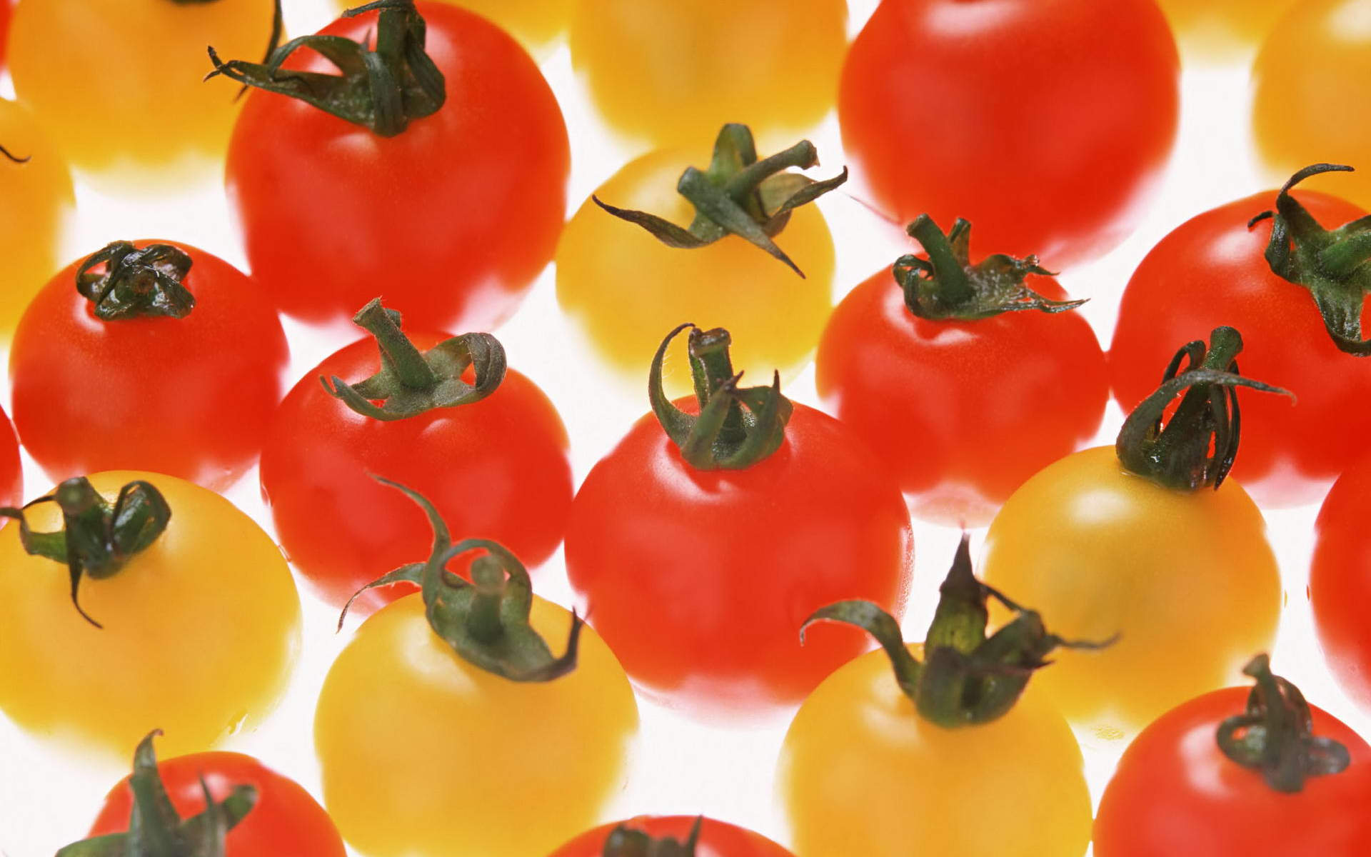 Savory Tomato Delight HD