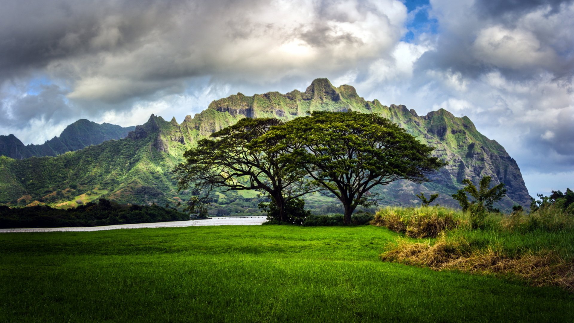 Stunning HD Nature Landscape: Majestic Trees and Mountain Serenity ...