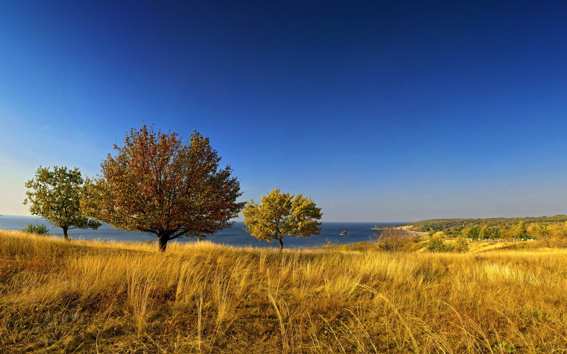 Download Nature Landscape HD Wallpaper