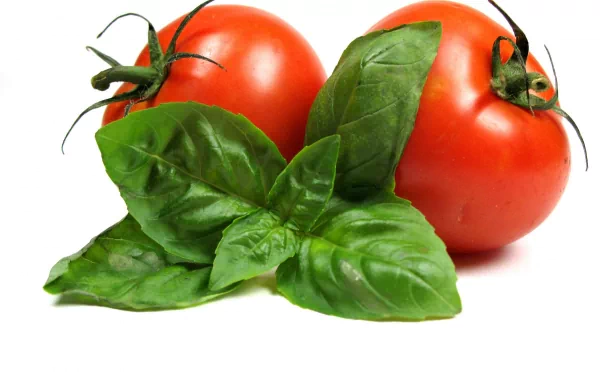 [370+] Tomato 4k Wallpapers