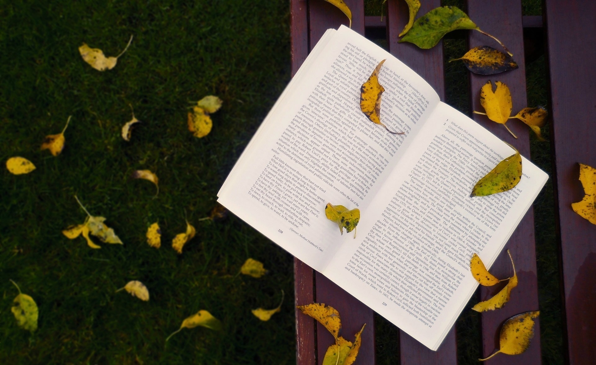 Autumn Leaves and Open Pages: A Man-Made Literary Moment HD Wallpaper