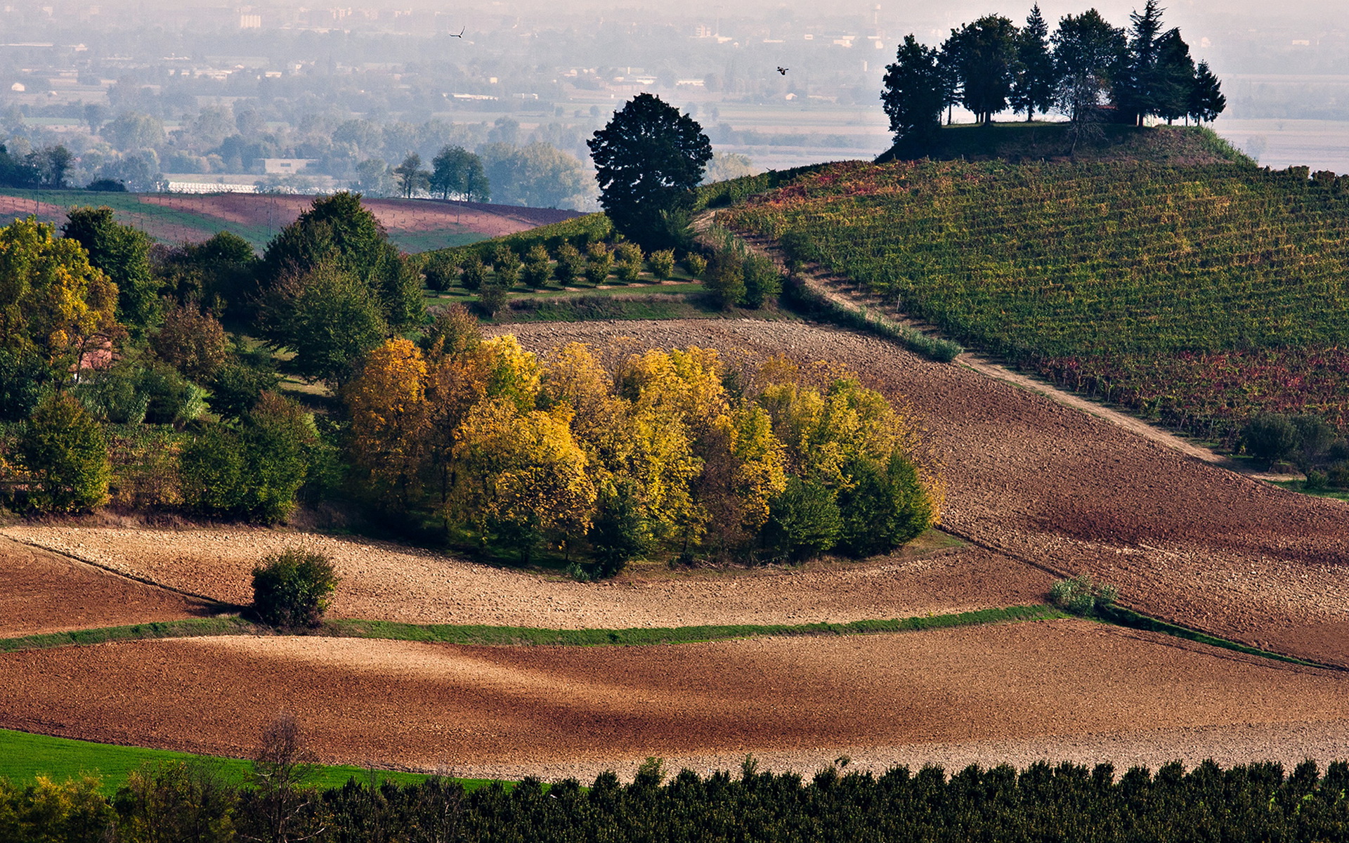 Download Nature Landscape HD Wallpaper