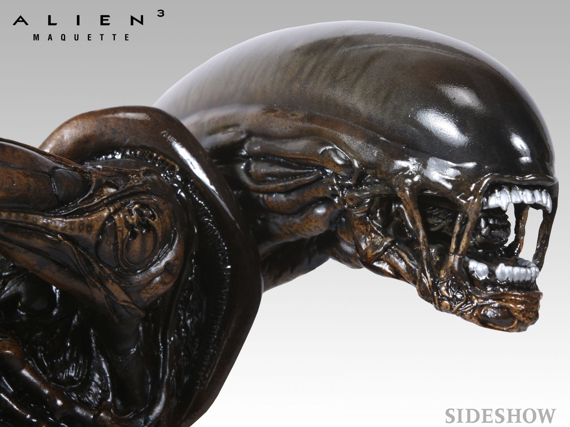 Download Alien Movie Alien³ HD Wallpaper