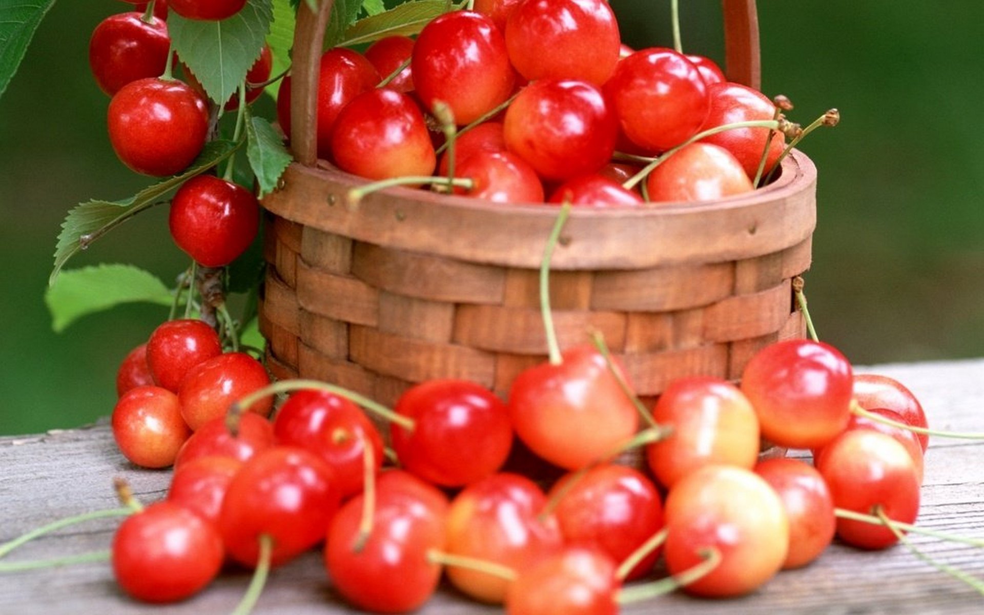 Vibrant Cherry Harvest HD - Fresh Food Delight