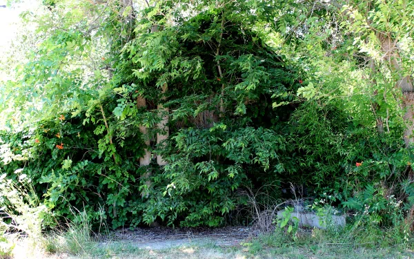 Spring Garden Courtyard HD Wallpaper