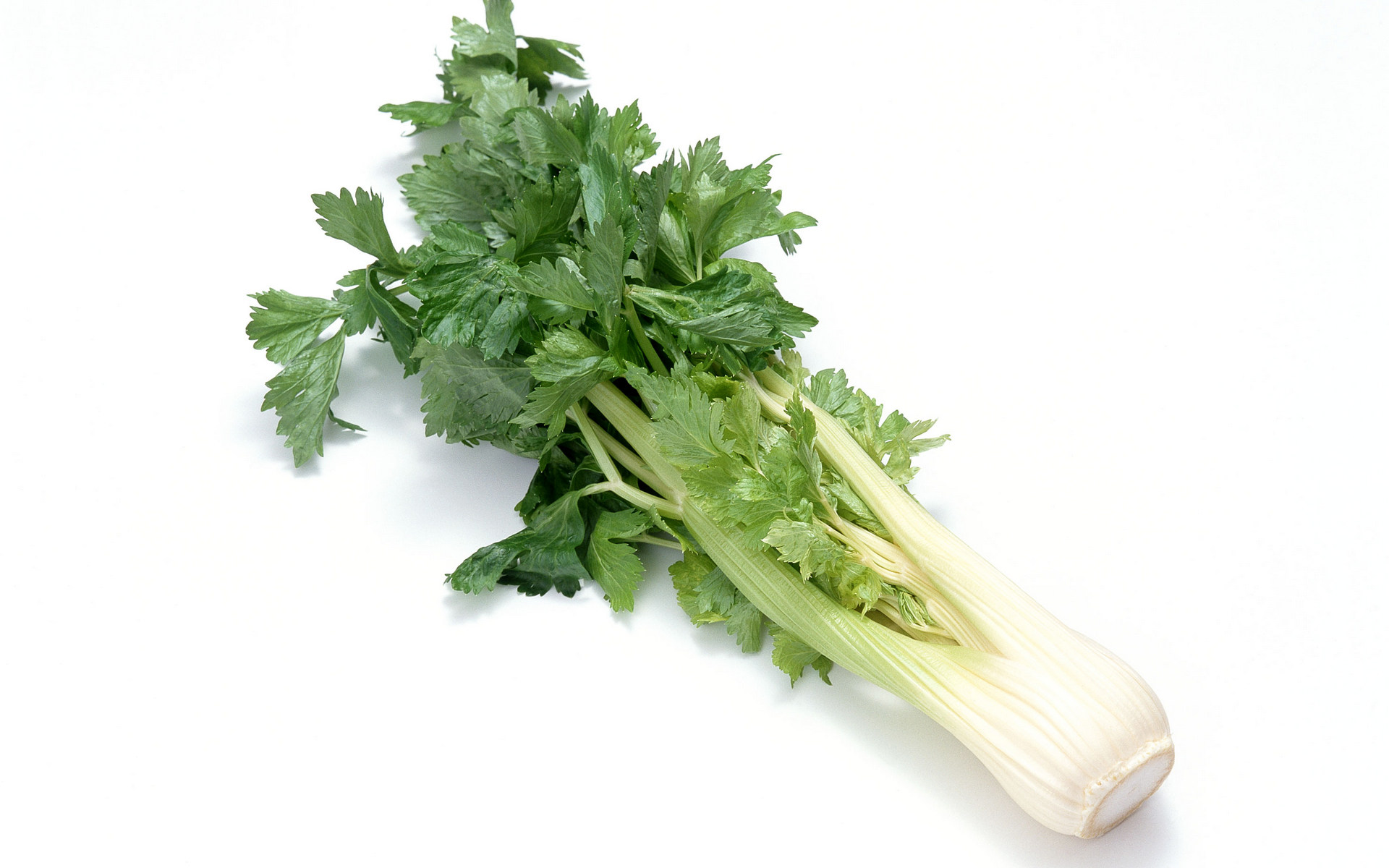 Fresh Celery Delight – HD Vegetable Wallpaper