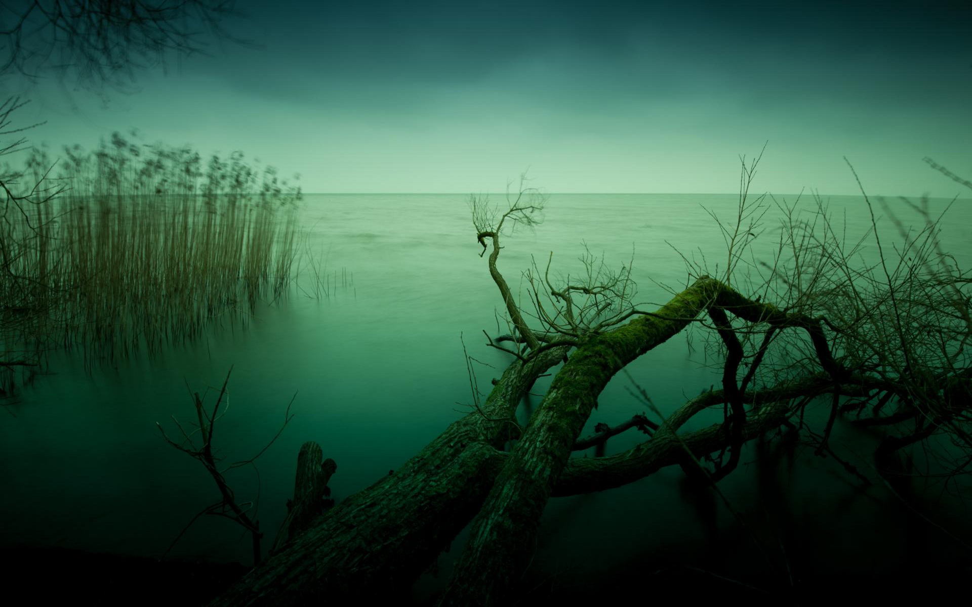 Download Nature River HD Wallpaper