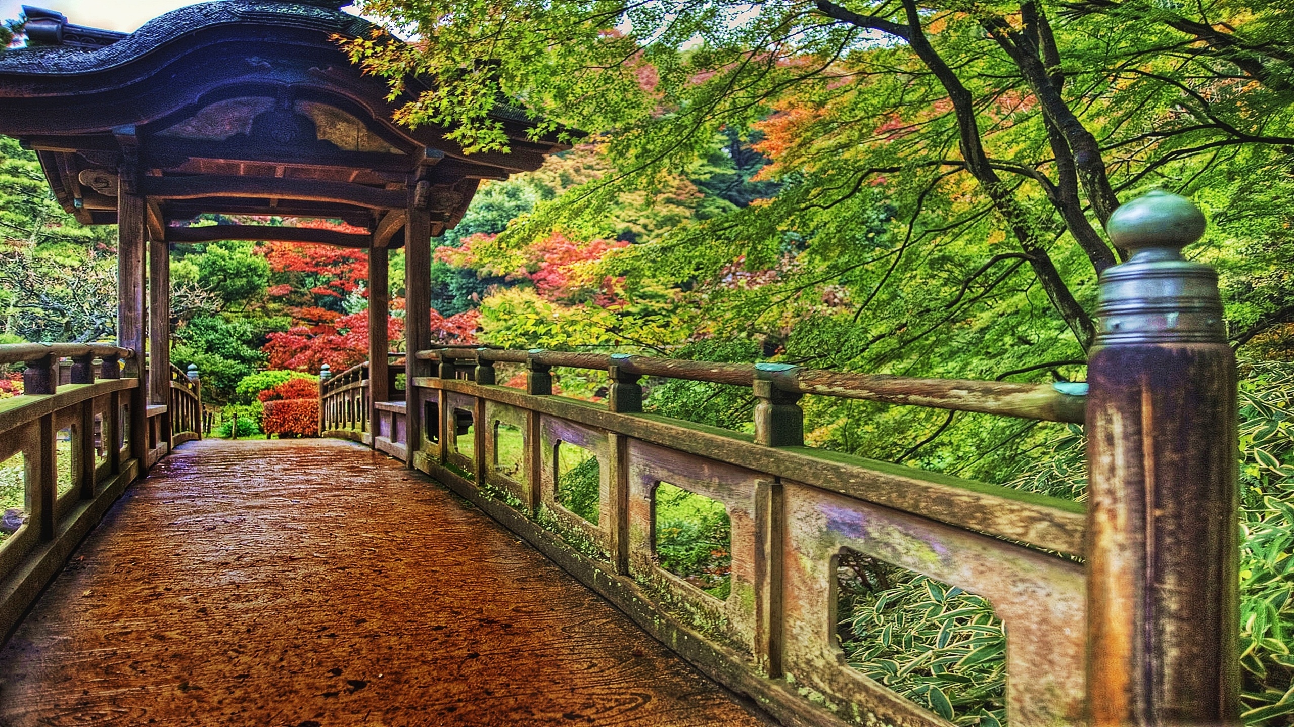 Tranquil Bridge: A Stunning HD Wallpaper Experience