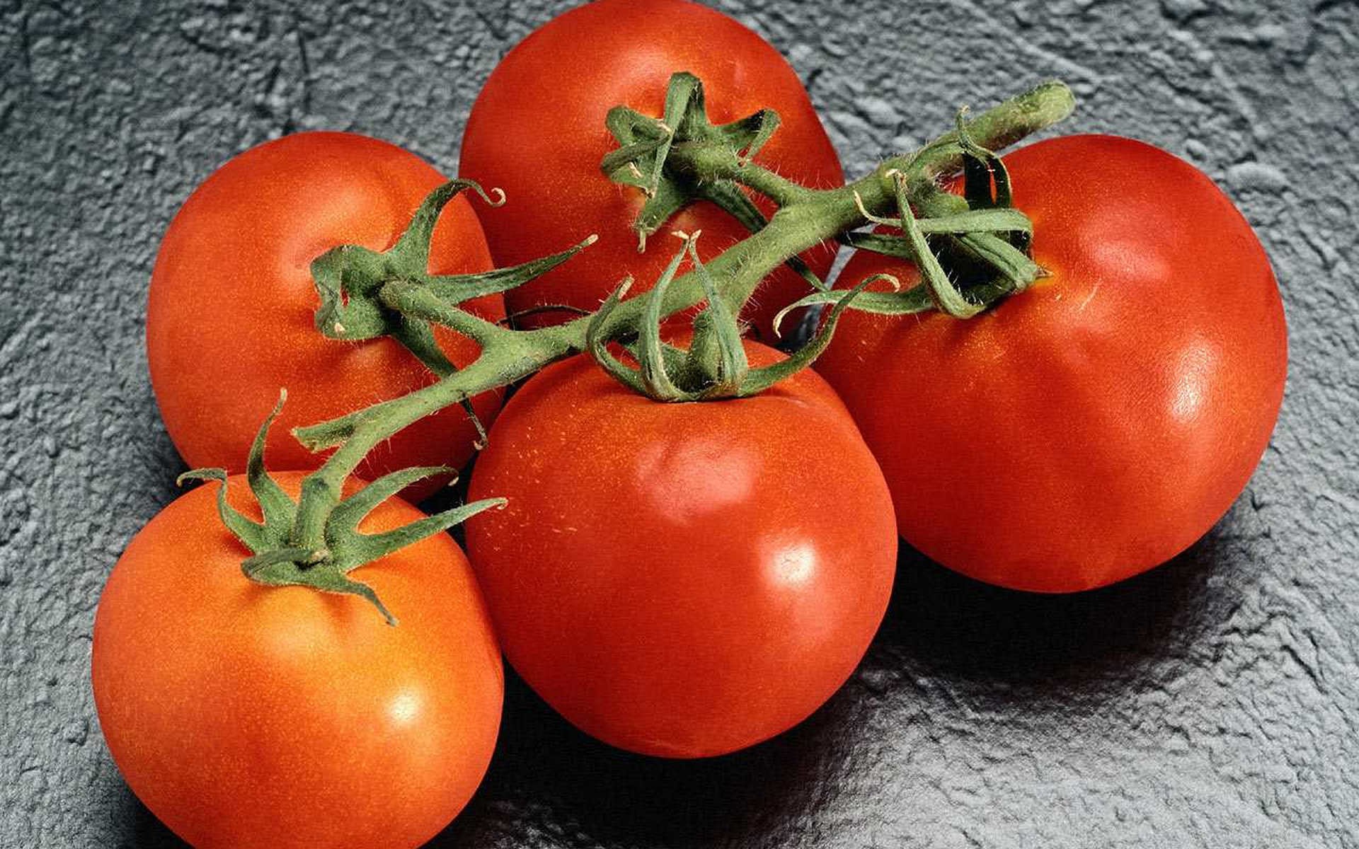 Download Food Tomato HD Wallpaper