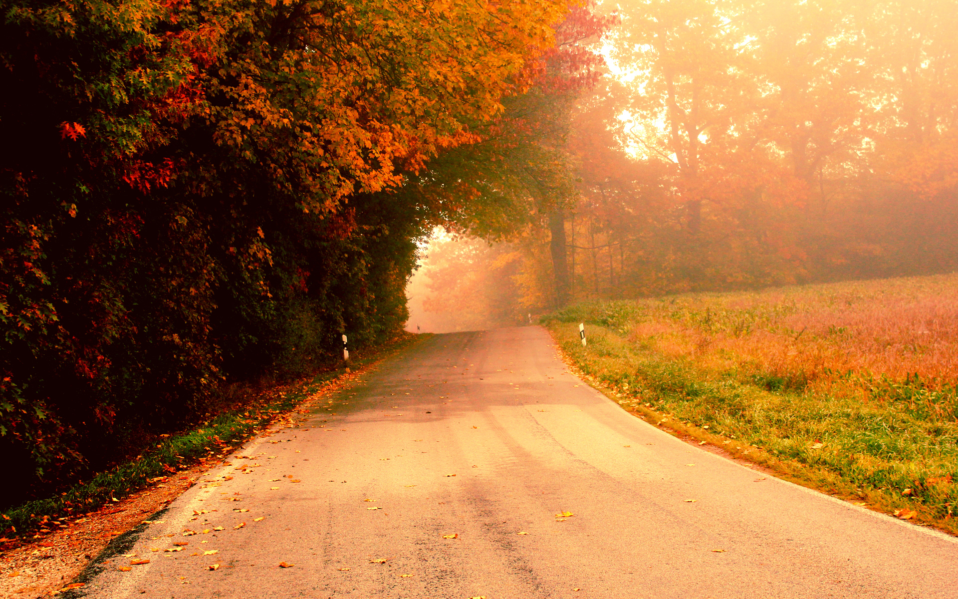 Download Man Made Road HD Wallpaper