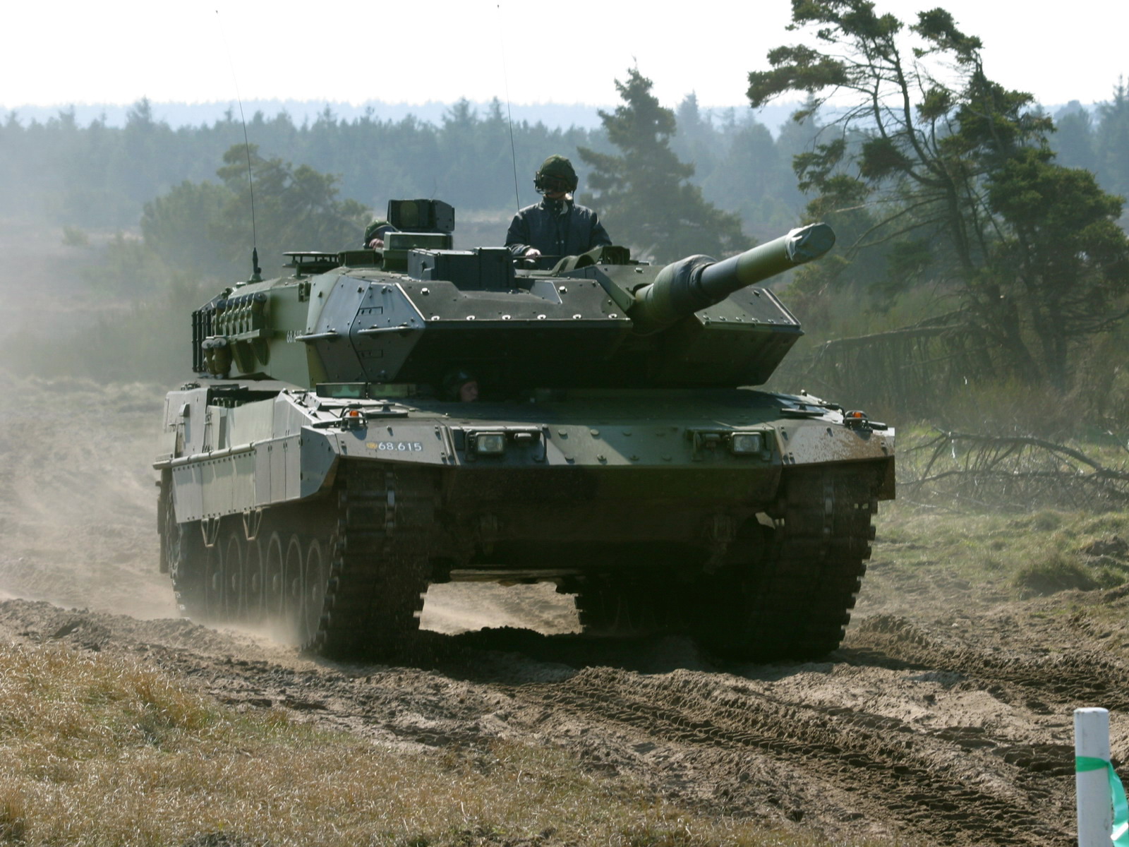The German Leopard 2