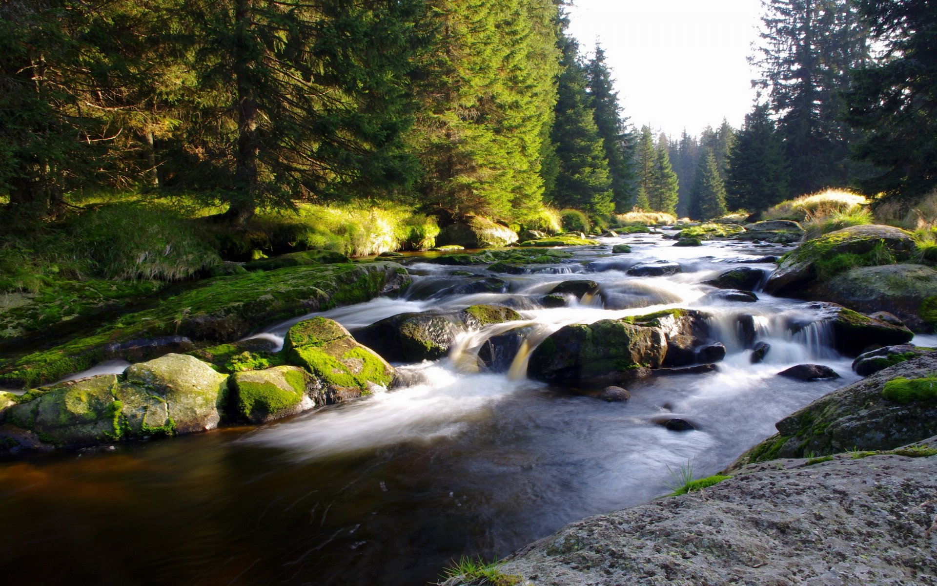 Serene River Flow: HD Nature Wallpaper
