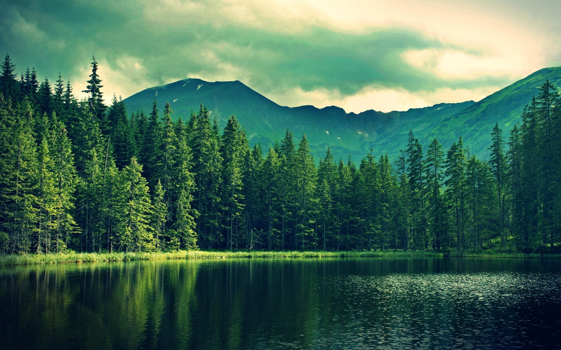 Tranquil Mountain Lake - Download Free HD Wallpaper | 2560x1600 ...