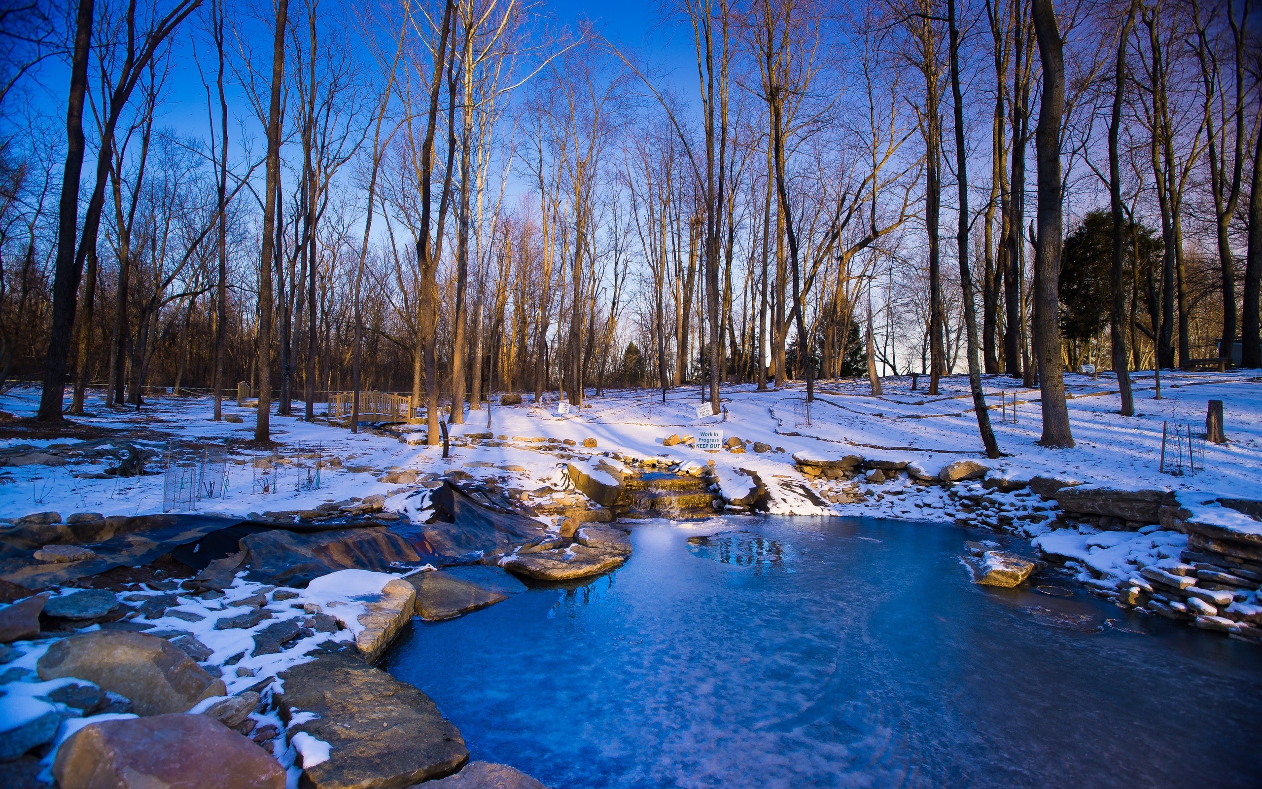 Winter Serenity: An HD Wallpaper of Nature's Chill