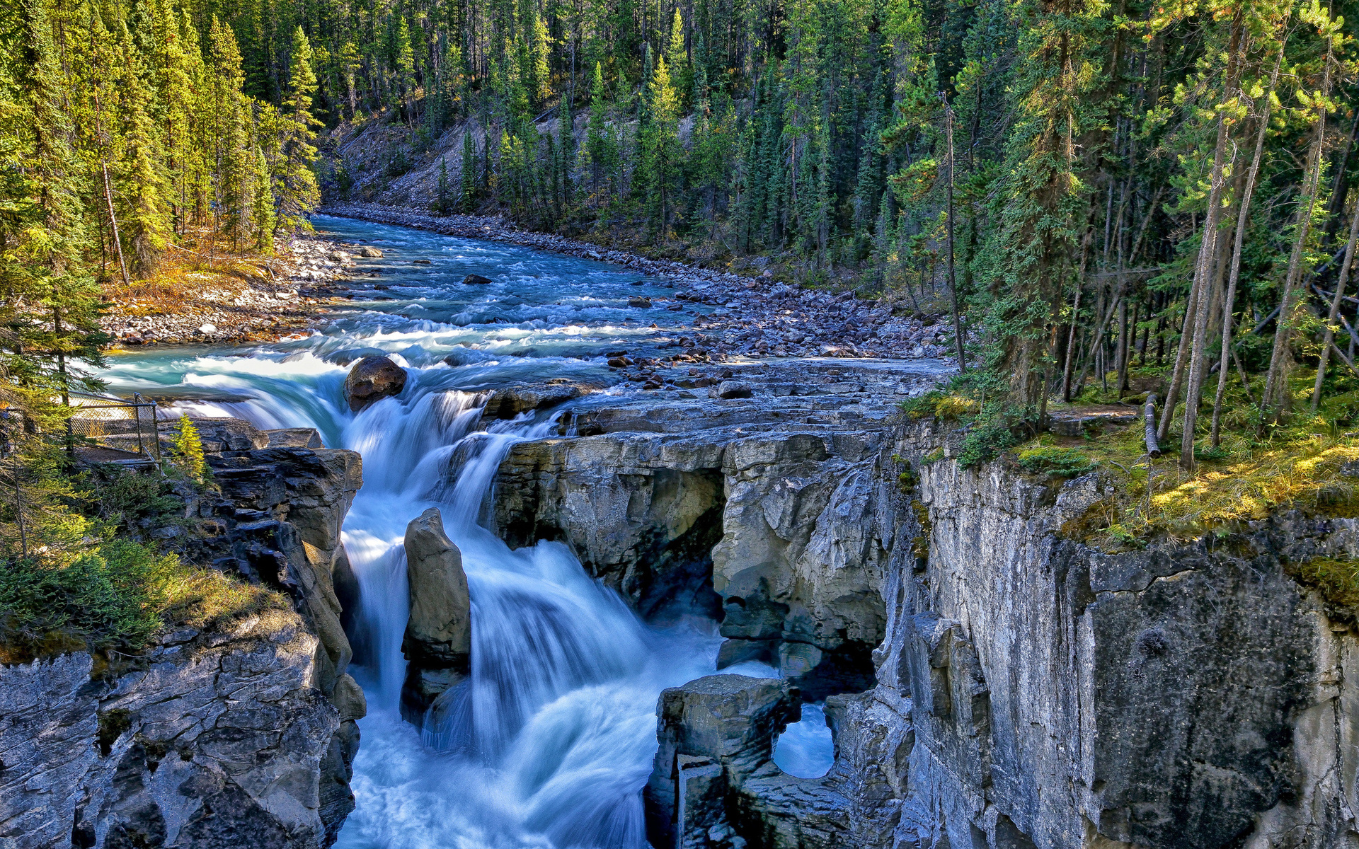 HD Nature Stream: Serene Waterfall in Lush Forest