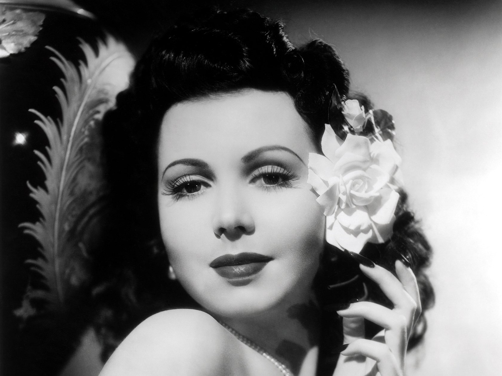 Download Celebrity Ann Miller Wallpaper