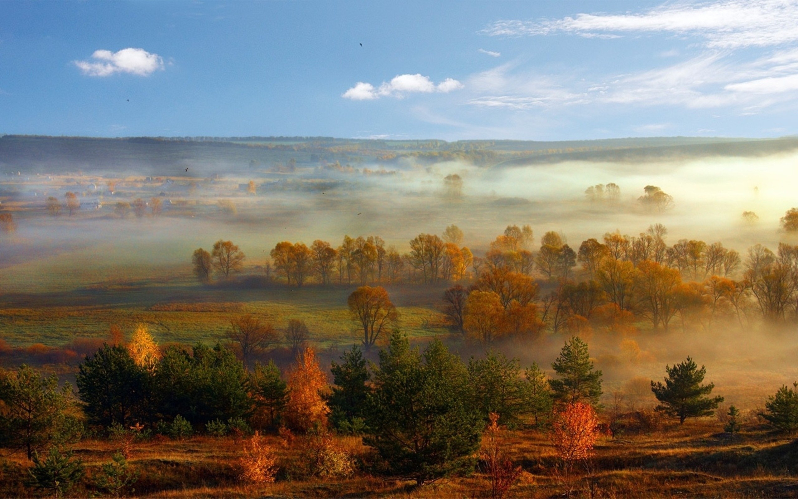Autumn Mist: Stunning HD Fall Nature Wallpaper