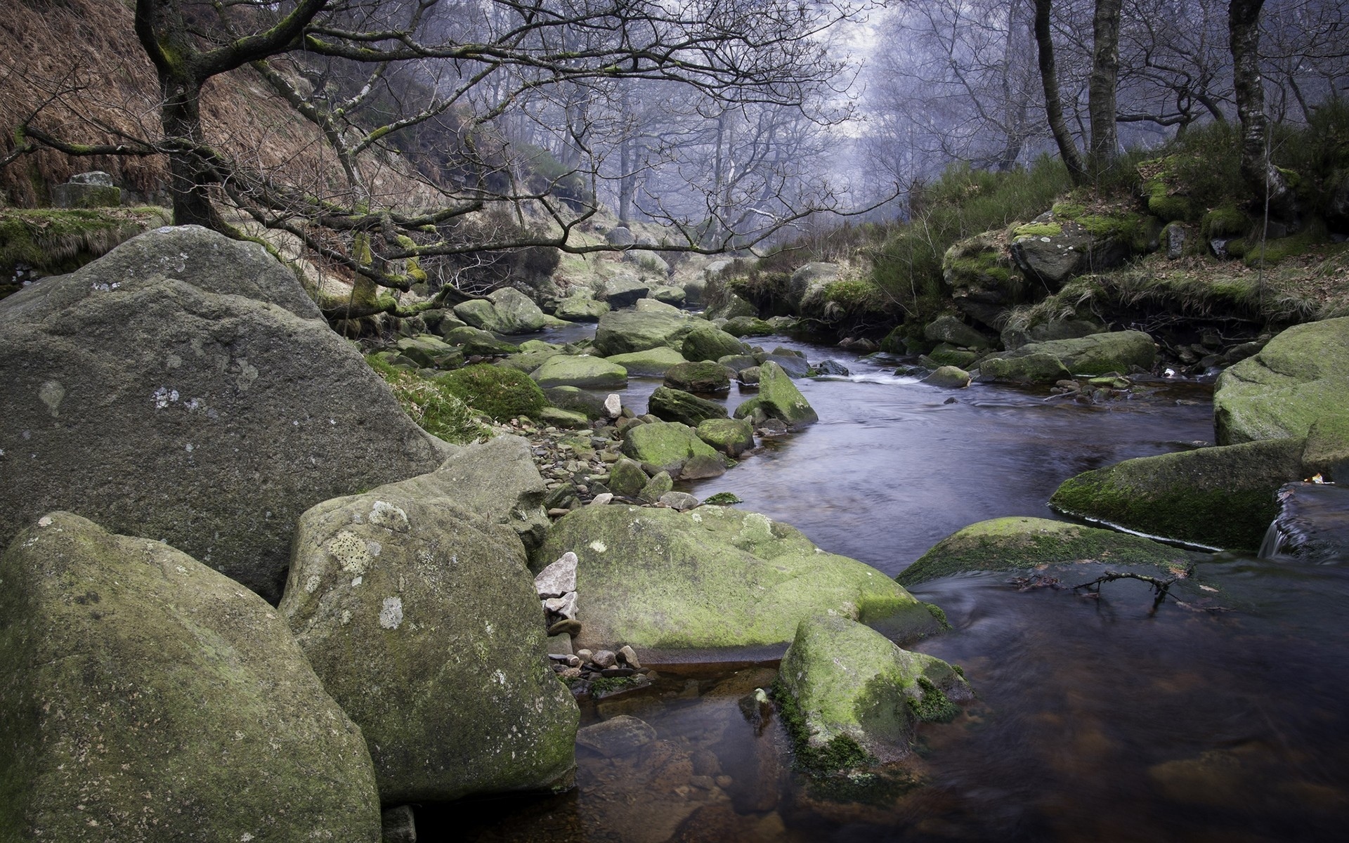 Download Nature Stream HD Wallpaper