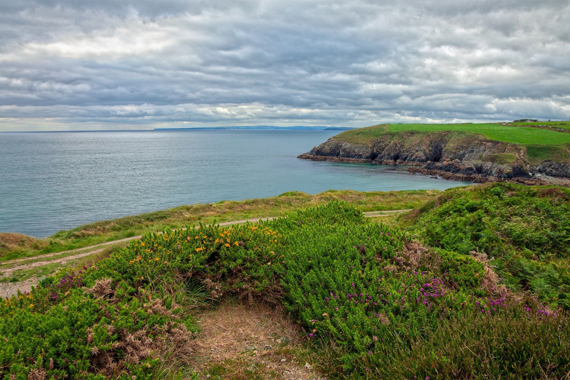Serene Coastal Nature HD Wallpaper: Tranquil Ocean and Lush Greenery