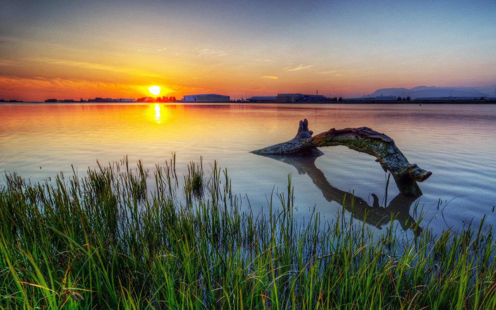 Golden Horizon: HD Nature Sunset Splendor