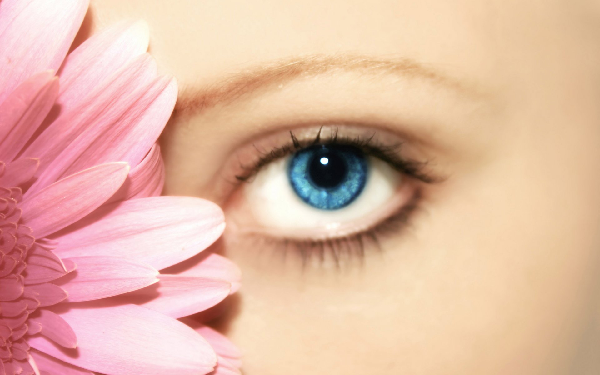 Download Woman Eye HD Wallpaper | 2560x1600 | Wallpaper Abyss