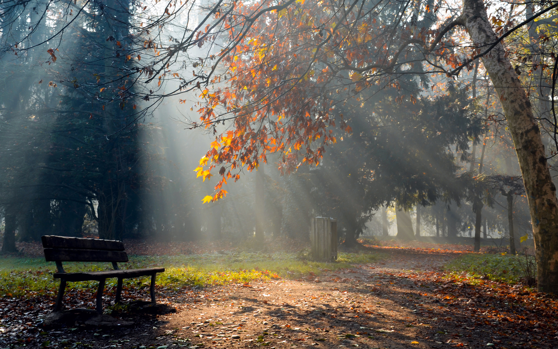 Download Photography Park HD Wallpaper