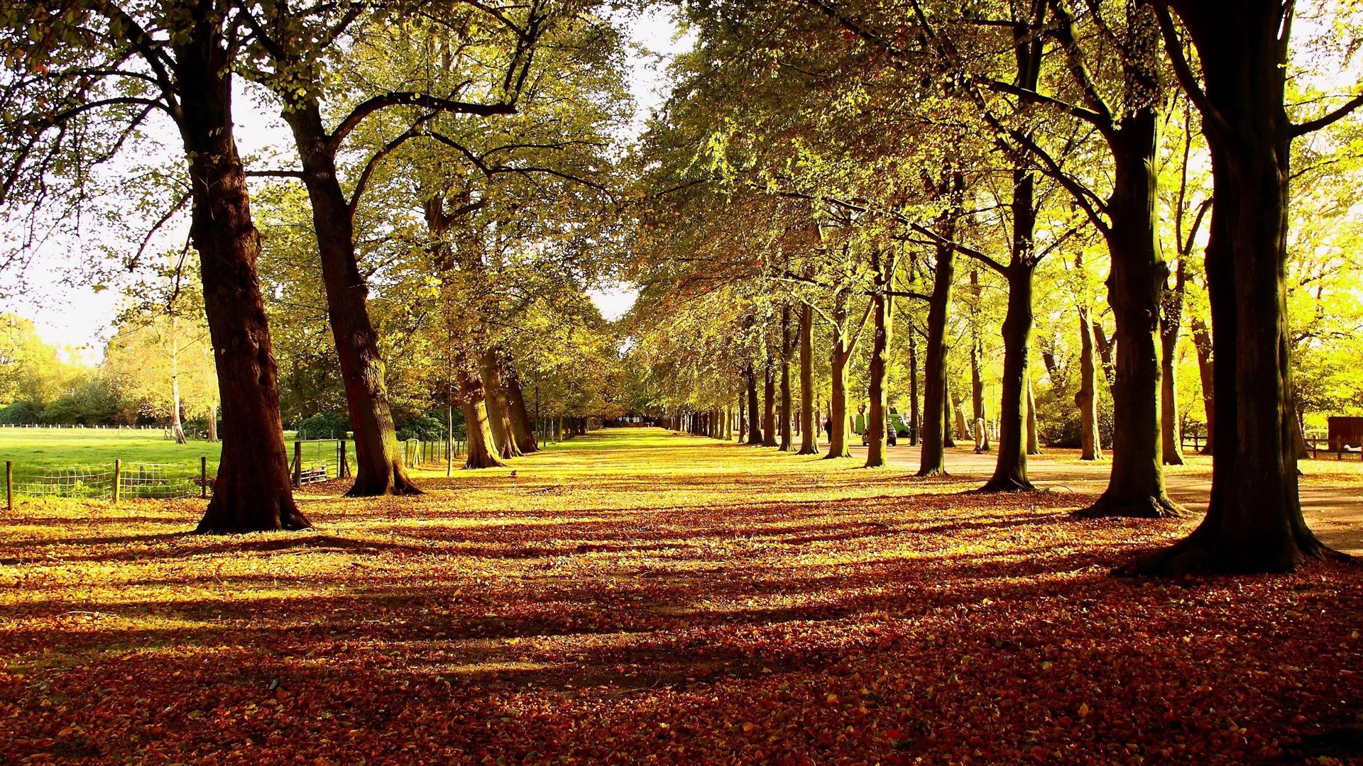 Download Photography Park HD Wallpaper | 1920x1080 | Wallpaper Abyss