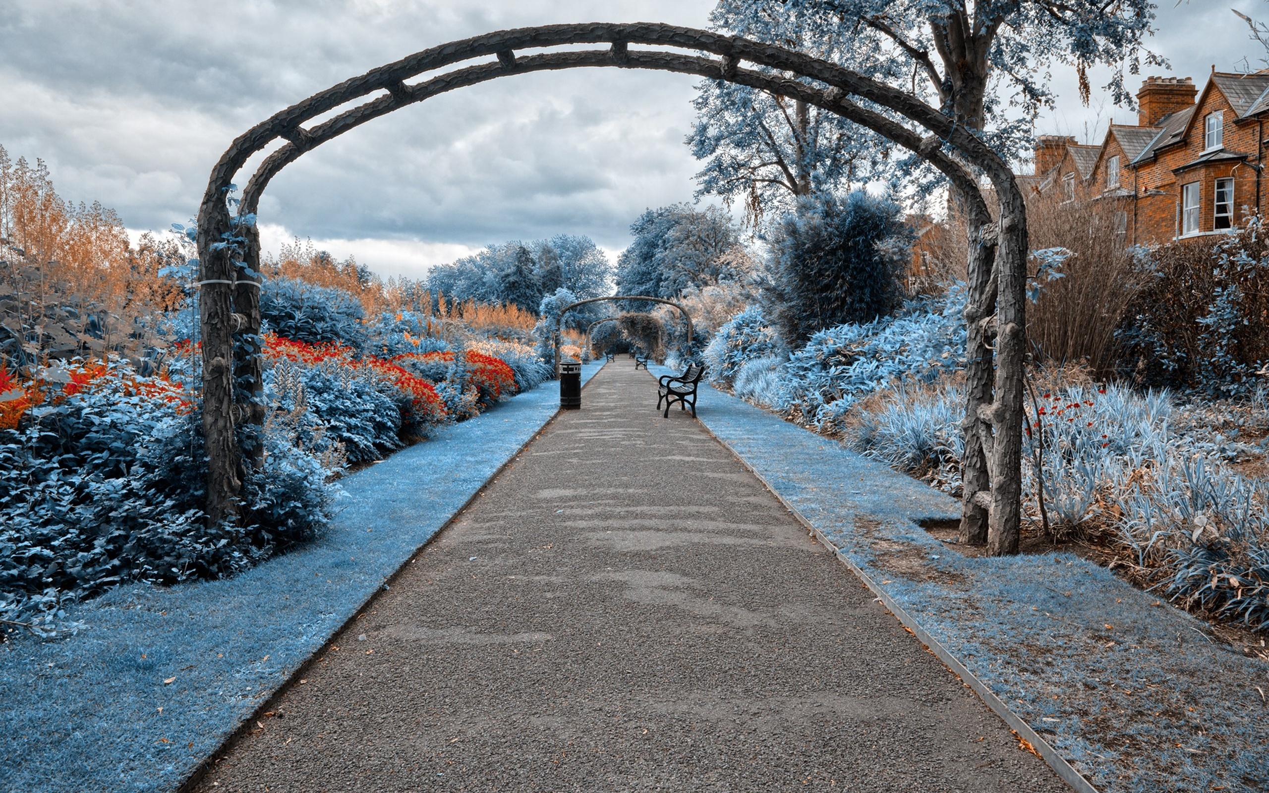 Tranquil Park Pathway - HD Wallpaper for Nature Lovers