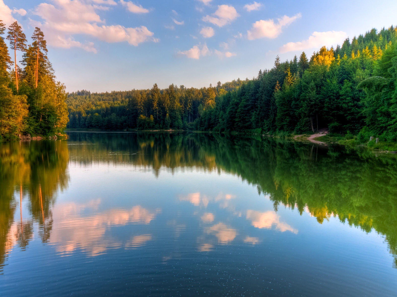 Download Water Reflection Tree Landscape Nature Lake Wallpaper