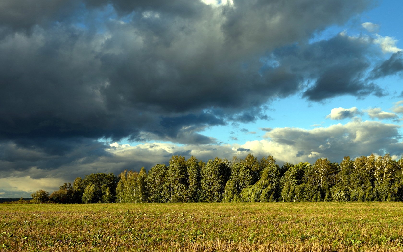 Majestic Clouds Over Serene Nature – Stunning HD Wallpaper | 1680x1050 ...
