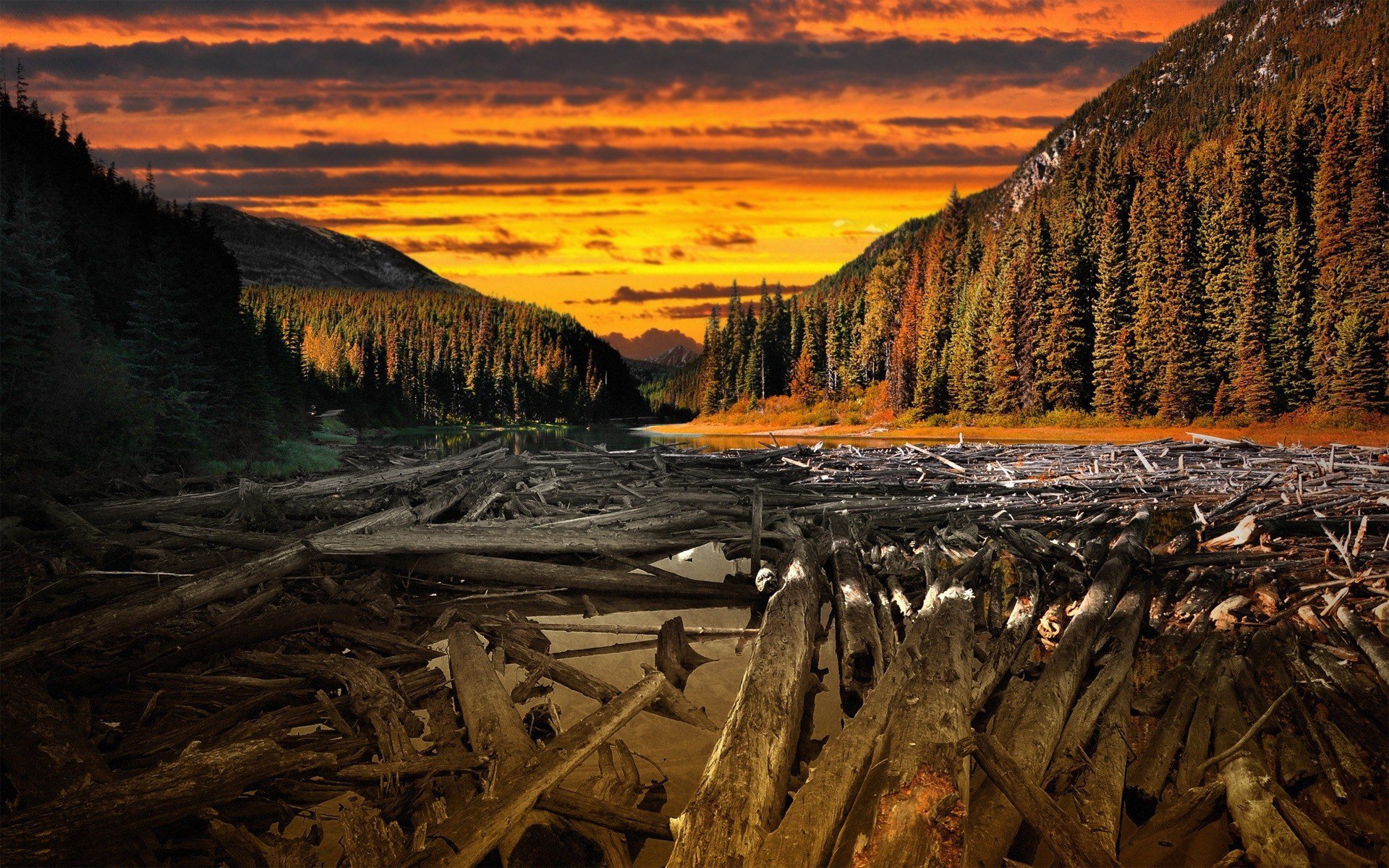 Download Nature River HD Wallpaper | 1920x1200 | Wallpaper Abyss