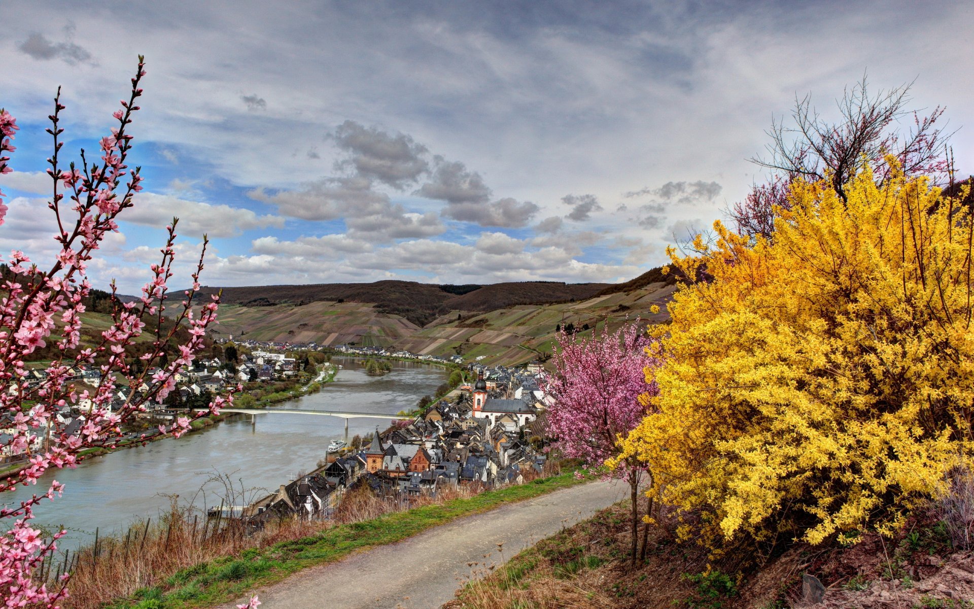 Vibrant Landscape: An HD Wallpaper of Nature's Beauty | 2560x1600 ...