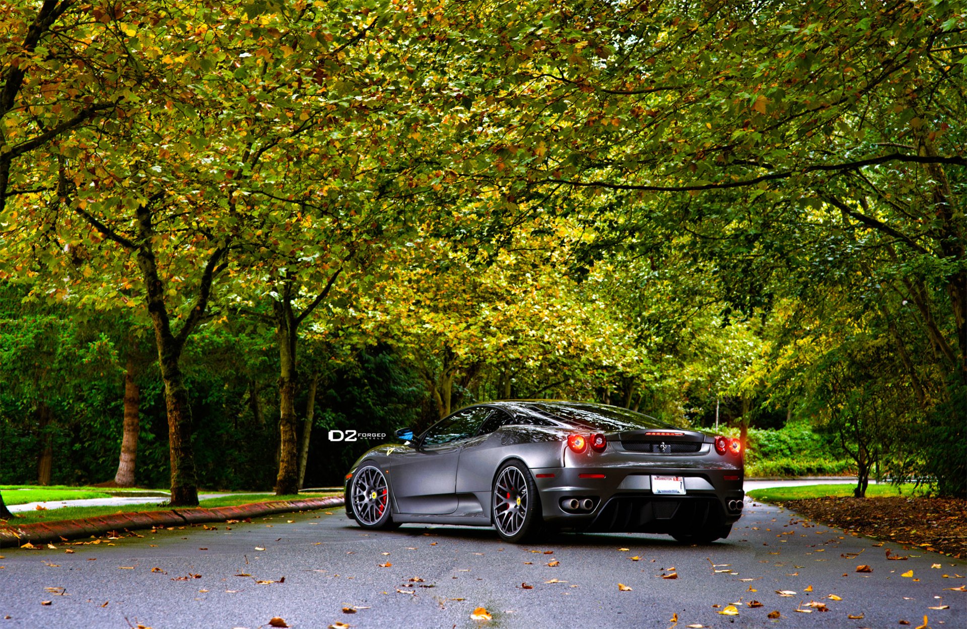 HD Ferrari Elegance: Sleek Speed Meets Serene Autumn Drive | 3000x1952 ...