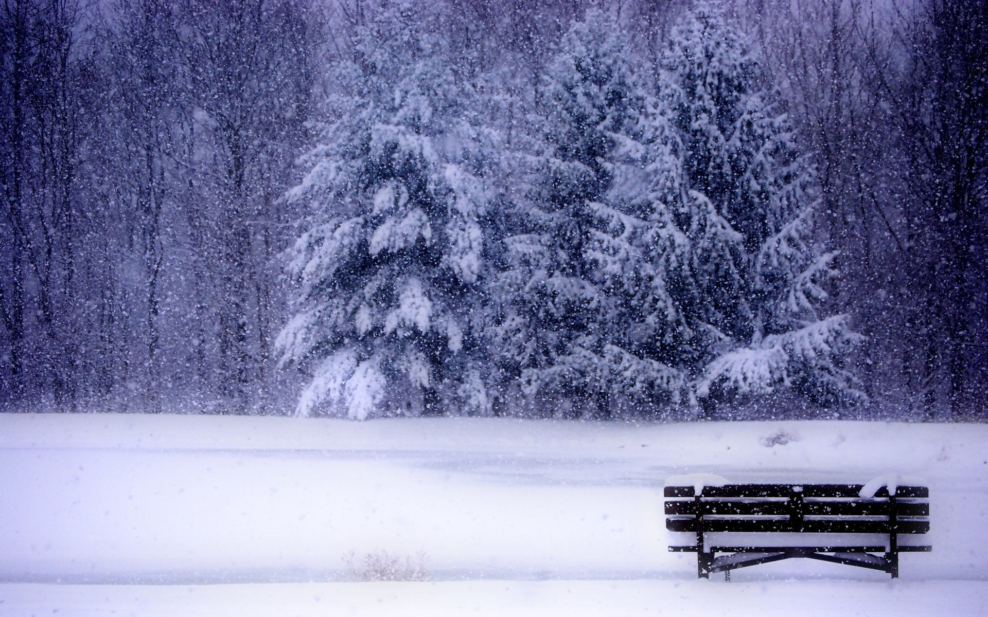 A Tranquil Winter Scene: HD Wallpaper of a Snowy Bench