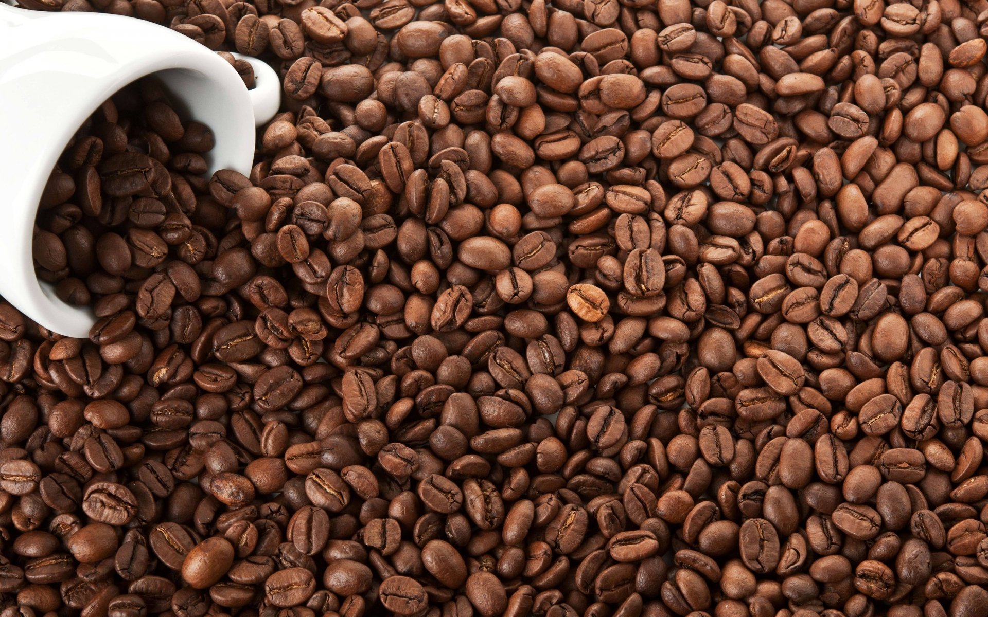 Rich Coffee Beans: A Stunning HD Wallpaper Experience