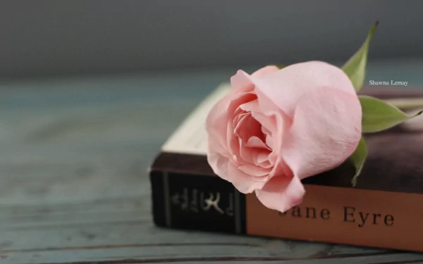 [250+] Book 4k Wallpapers