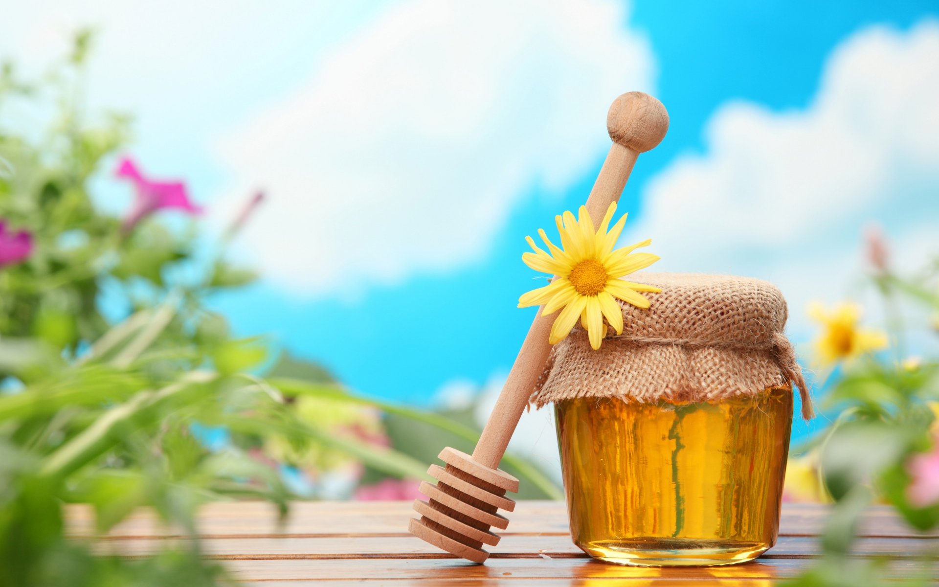 Delicious Honey: A Stunning HD Wallpaper