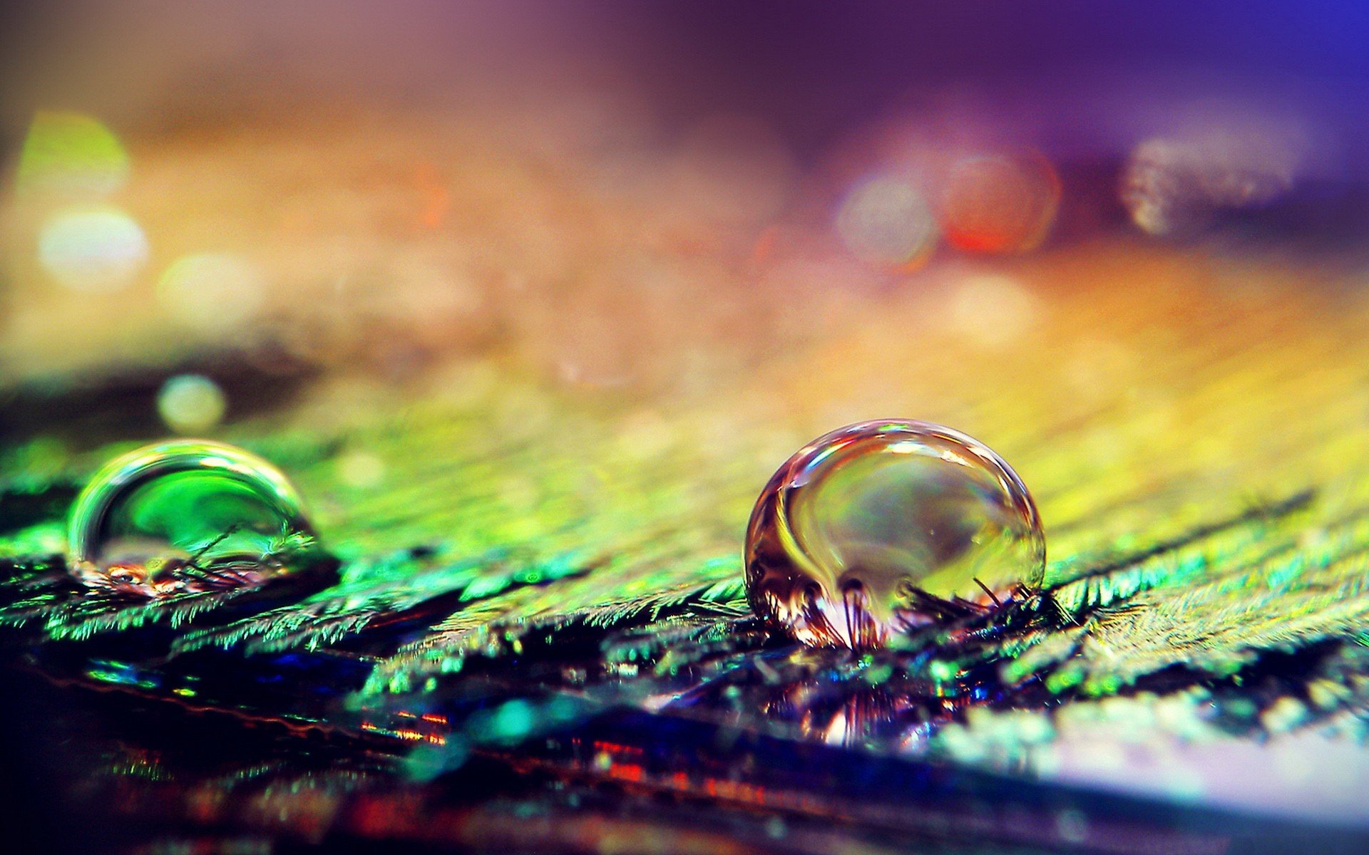HD Nature Drop: Vibrant Water Droplets in Focus | 1920x1200 | Wallpaper ...