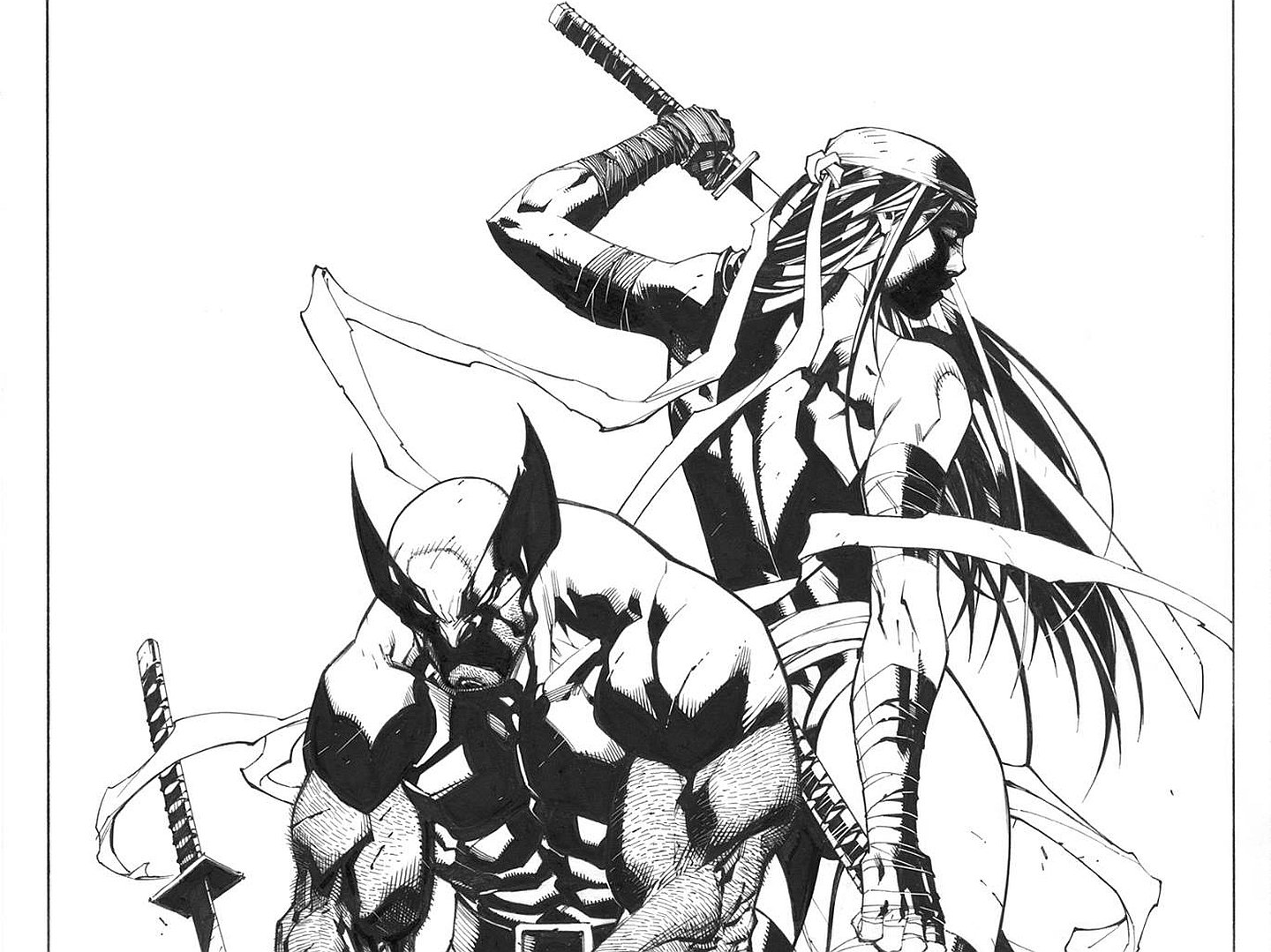 Download Elektra (Marvel Comics) Comic Wolverine Wallpaper | 1440x1079 ...