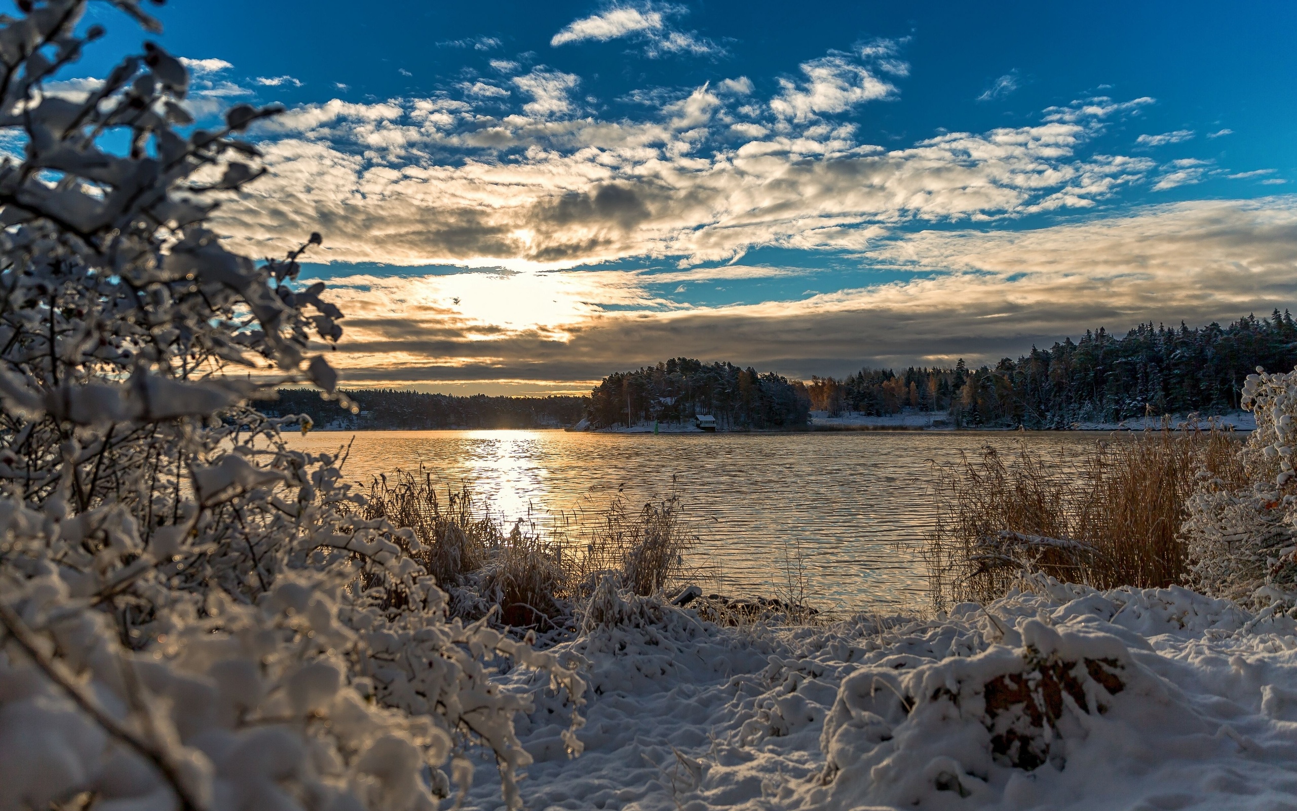 Winter Serenity: A Captivating HD Wallpaper of Nature