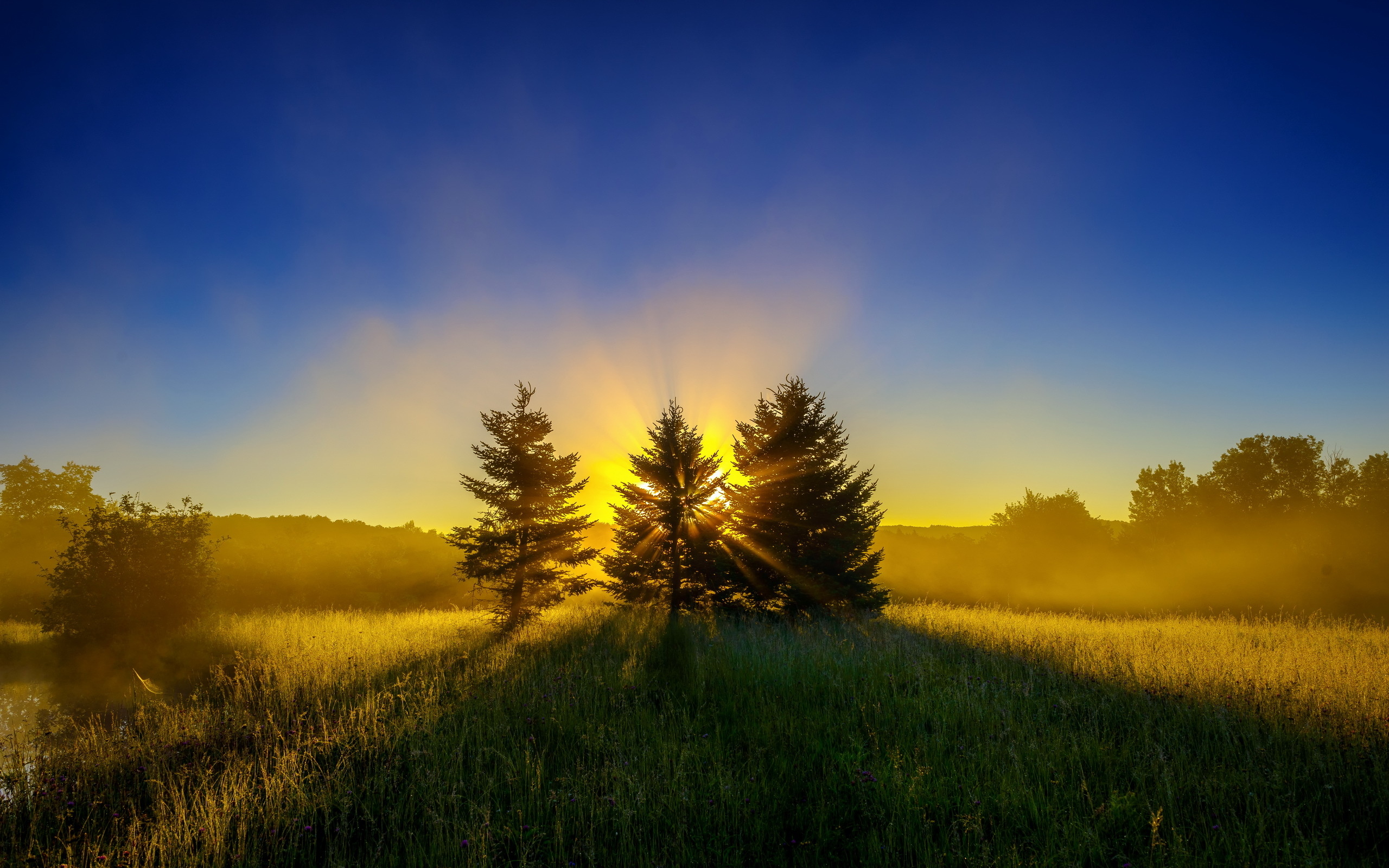 Sunbeam Serenity: Stunning HD Nature Wallpaper