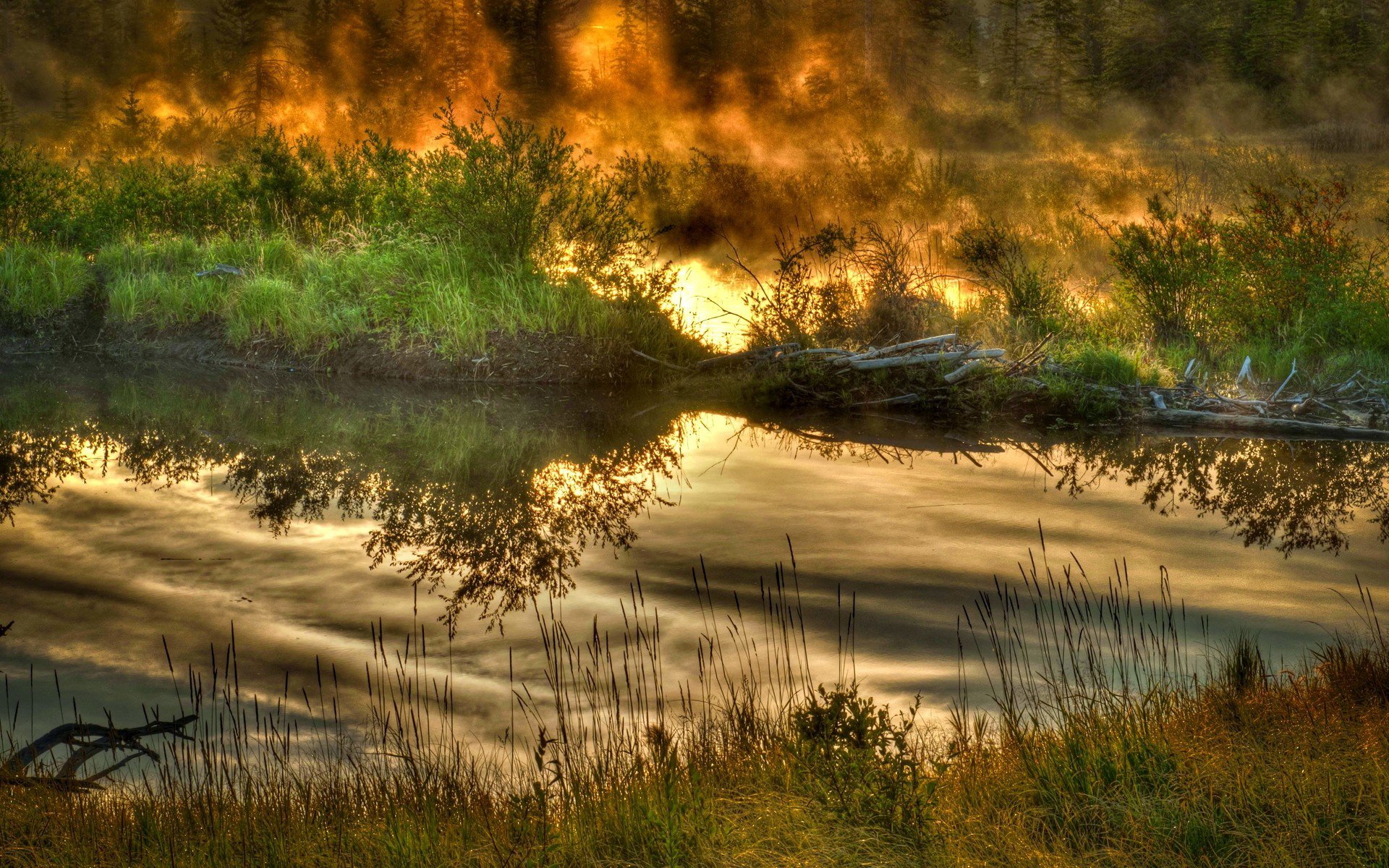 Golden Glow River: Stunning HD Nature Wallpaper | 1920x1200 | Wallpaper ...