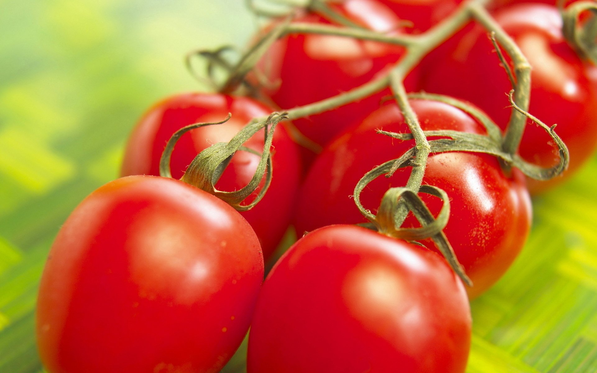 Vibrant HD Tomato Delight: Fresh and Juicy Culinary Inspiration