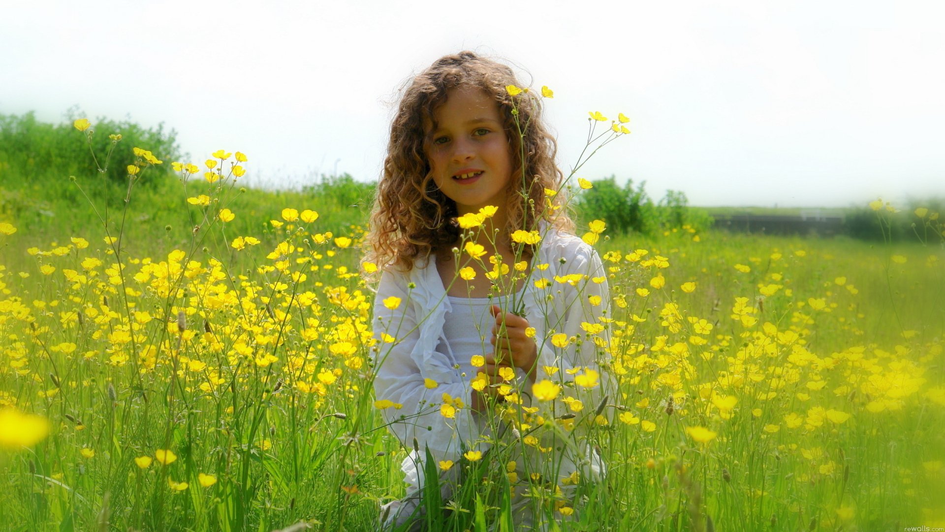 Joyful Moments: HD Wallpaper of a Child in a Vibrant Flower Field ...
