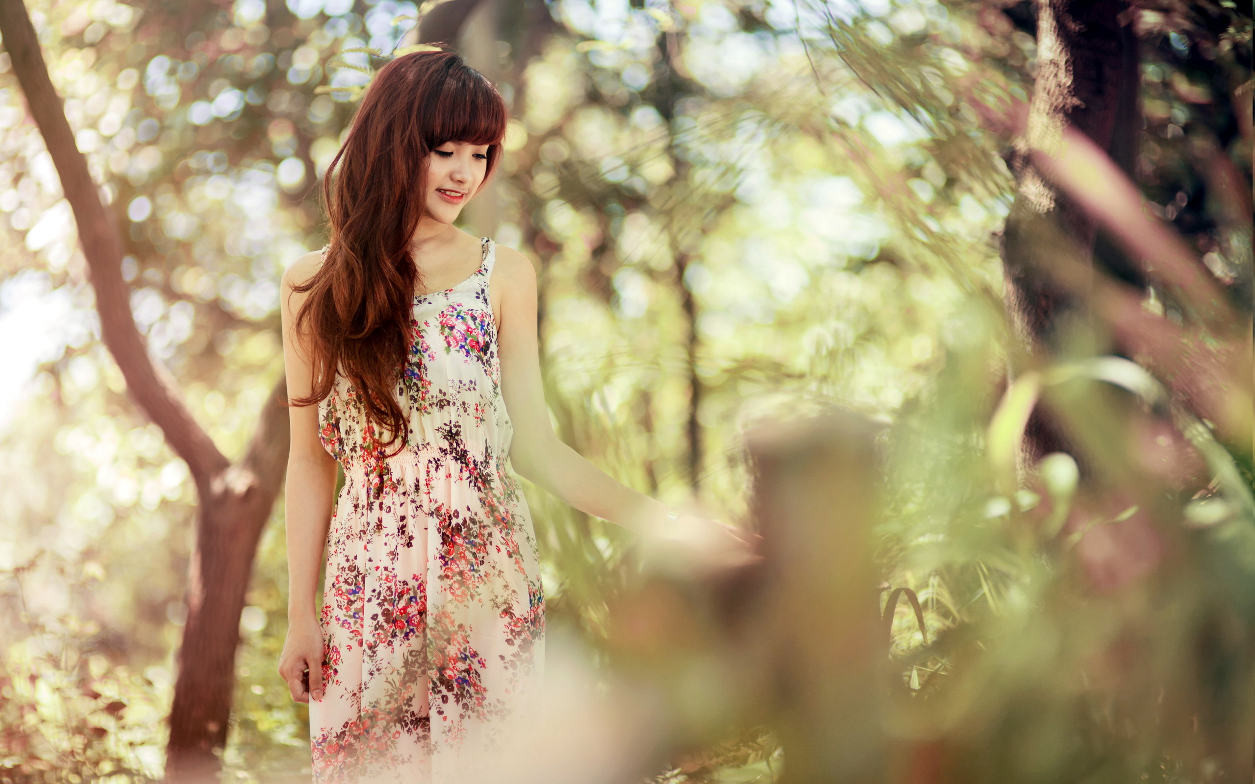Enchanted Forest - HD Wallpaper Featuring Asian Woman