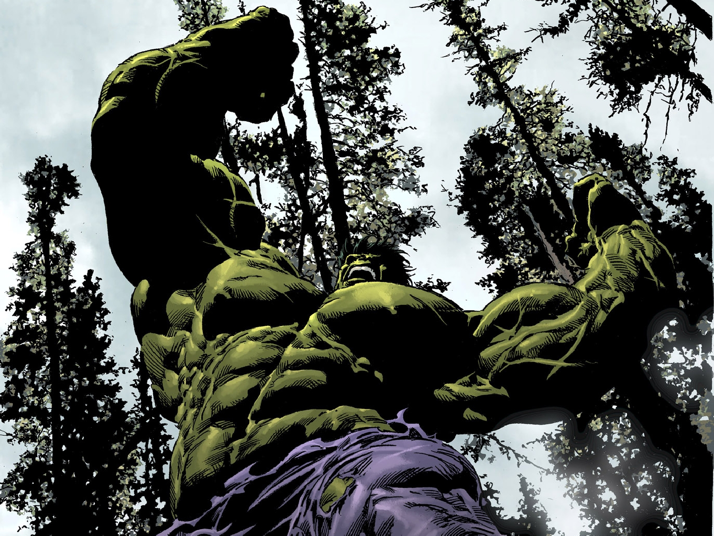Hulk Unleashed: Epic Marvel Comics HD Wallpaper