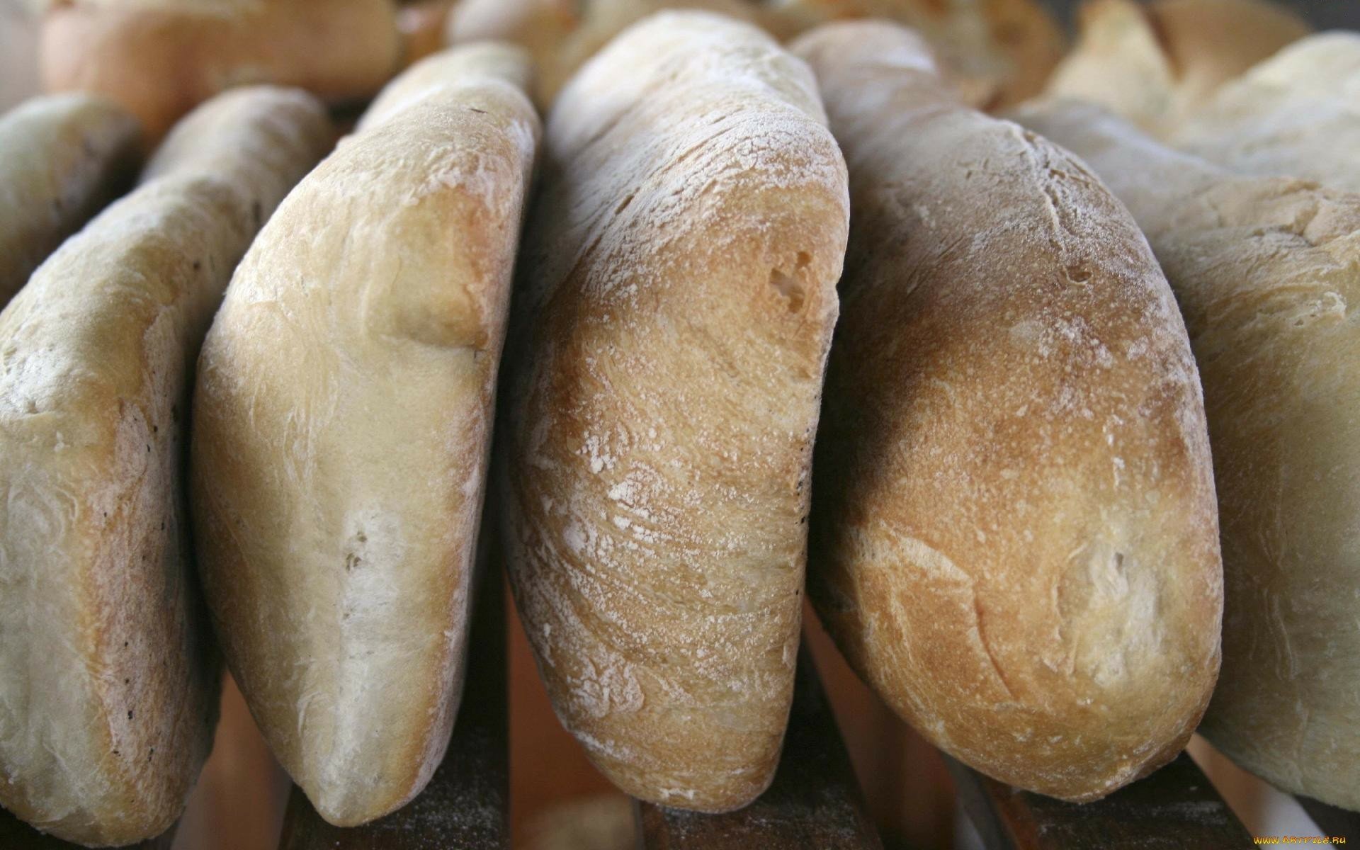 Download Food Bread HD Wallpaper