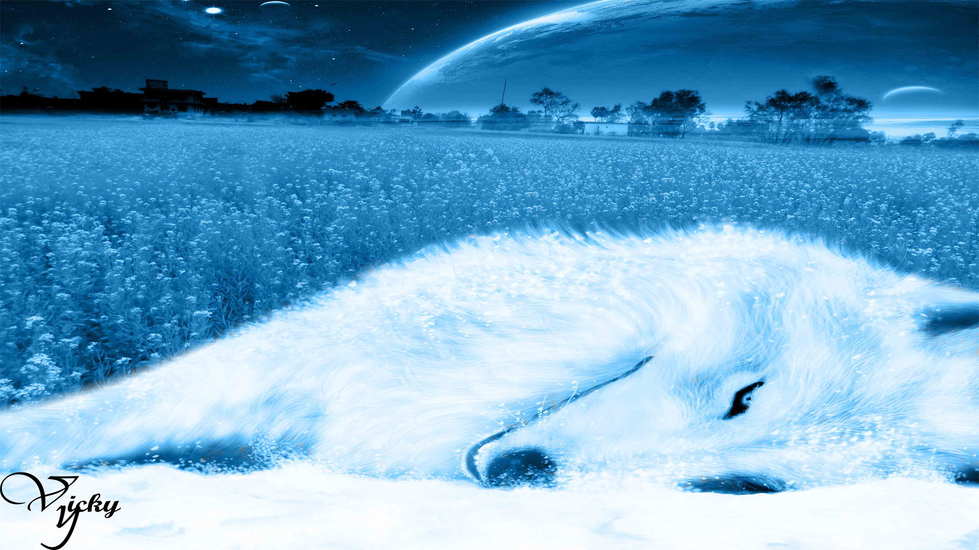 Blue Wolf in a Dreamy Landscape - HD Wallpaper
