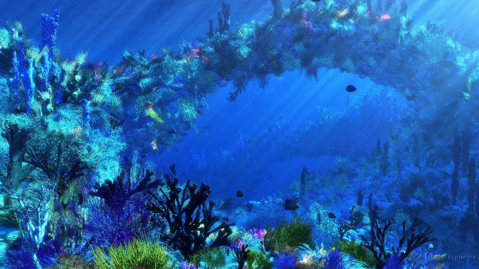 Enchanted Blue Fish Realm HD Wallpaper